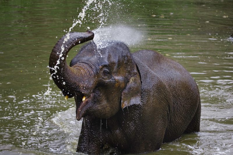 Take shorter showers! - Save Water Texas Coalition