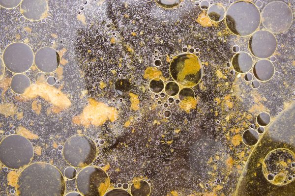 F.O.G. - Fats Oils Grease Archives - Save Water Texas Coalition