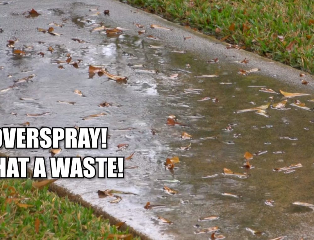 The WHCRWA Water Distribution System - Save Water Texas Coalition